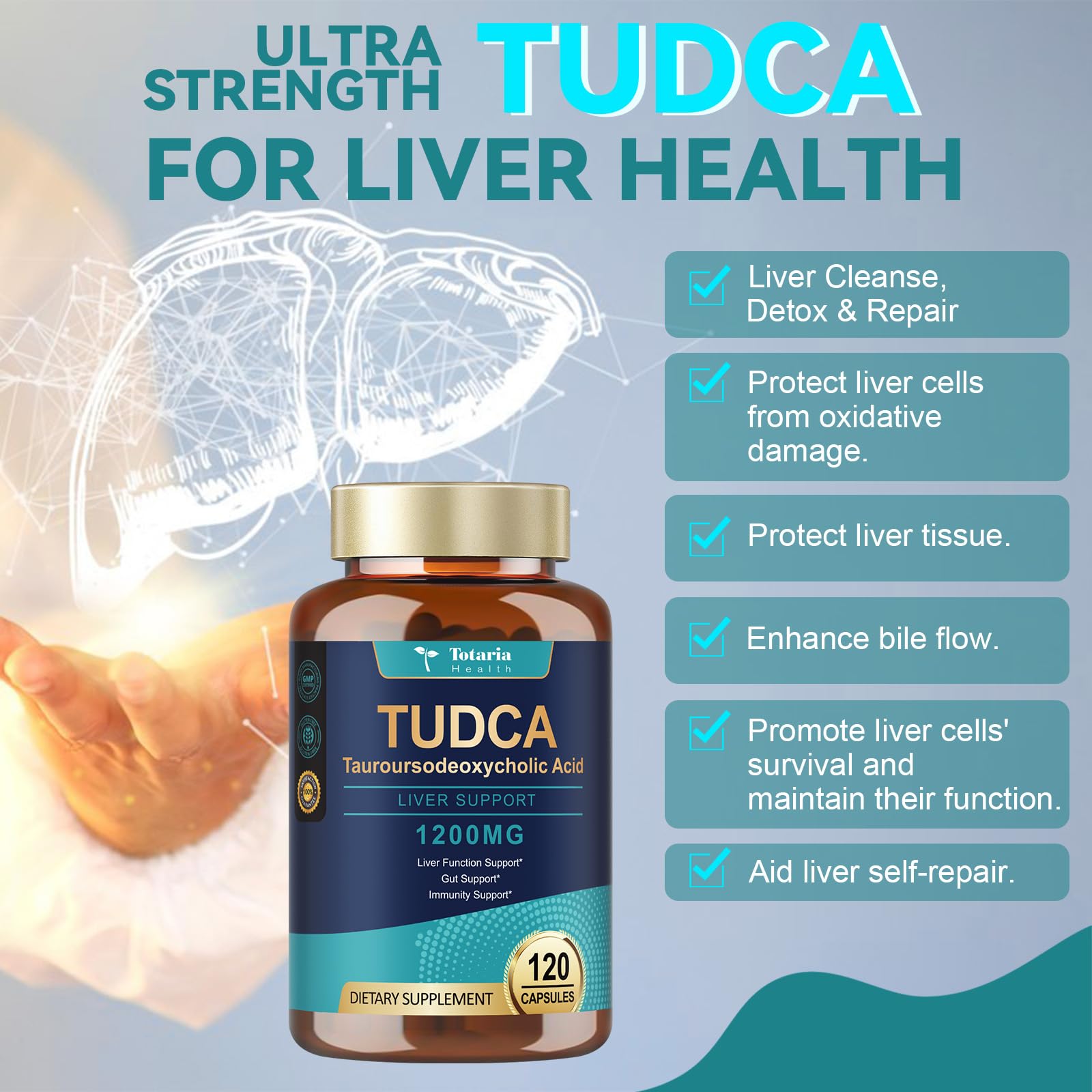 TUDCA capsules for improved gallbladder function
