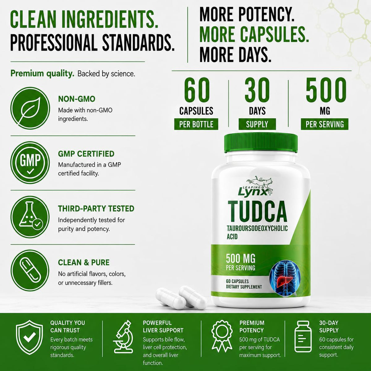 TUDCA capsules support cellular function