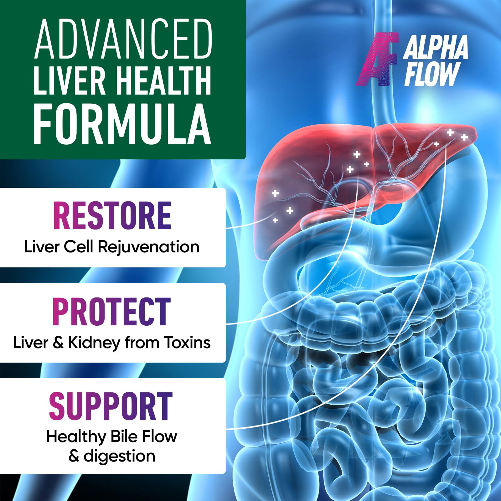 TUDCA for better metabolic health