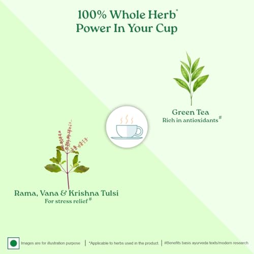Tulsi Green Tea for digestive health