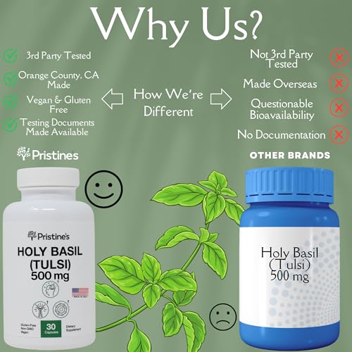 tulsi holy basil for daily health