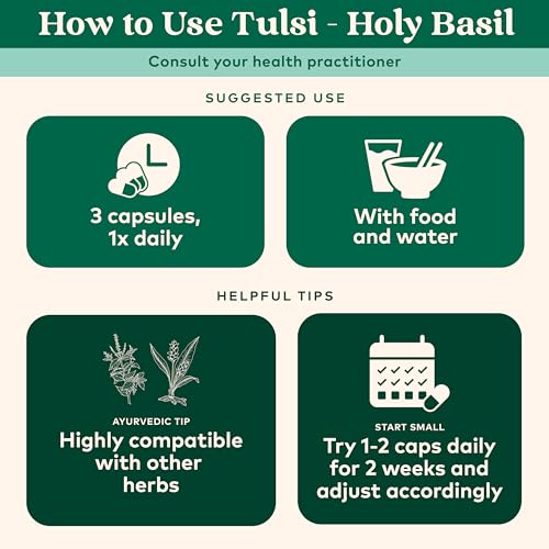 tulsi holy basil for enhanced relaxation