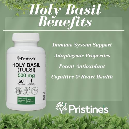 tulsi holy basil for everyday use