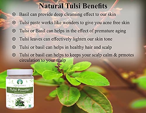 tulsi powder for daily health