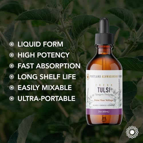 Tulsi Spagyric for herbal healing