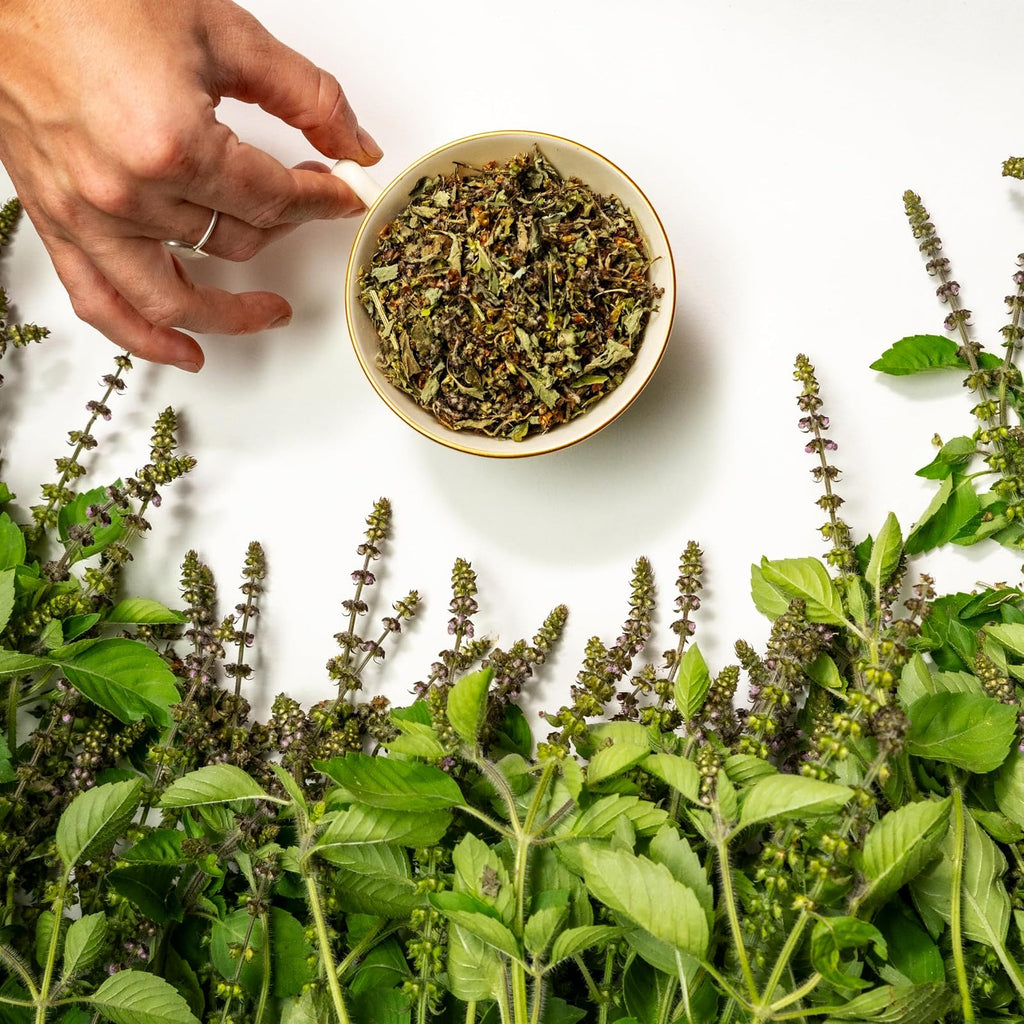 Tulsi tea for immune support