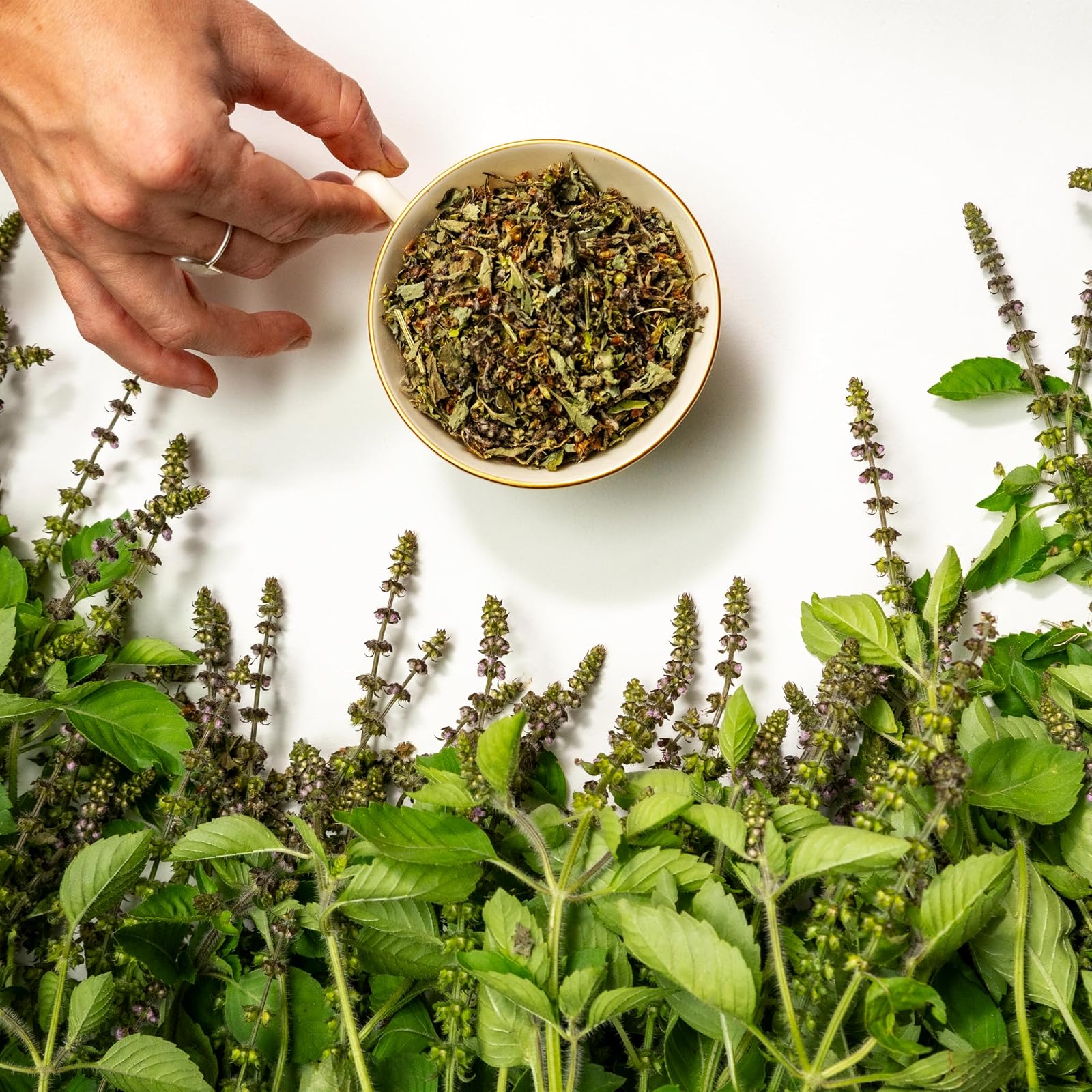 Tulsi tea for immune support