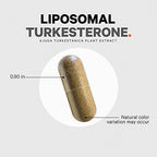 Turkesterone capsules for overall wellness