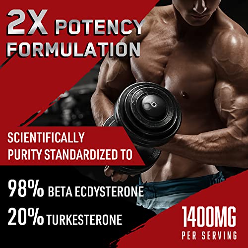 Turkesterone extract for improved recovery