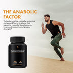 Turkesterone for enhanced athletic performance