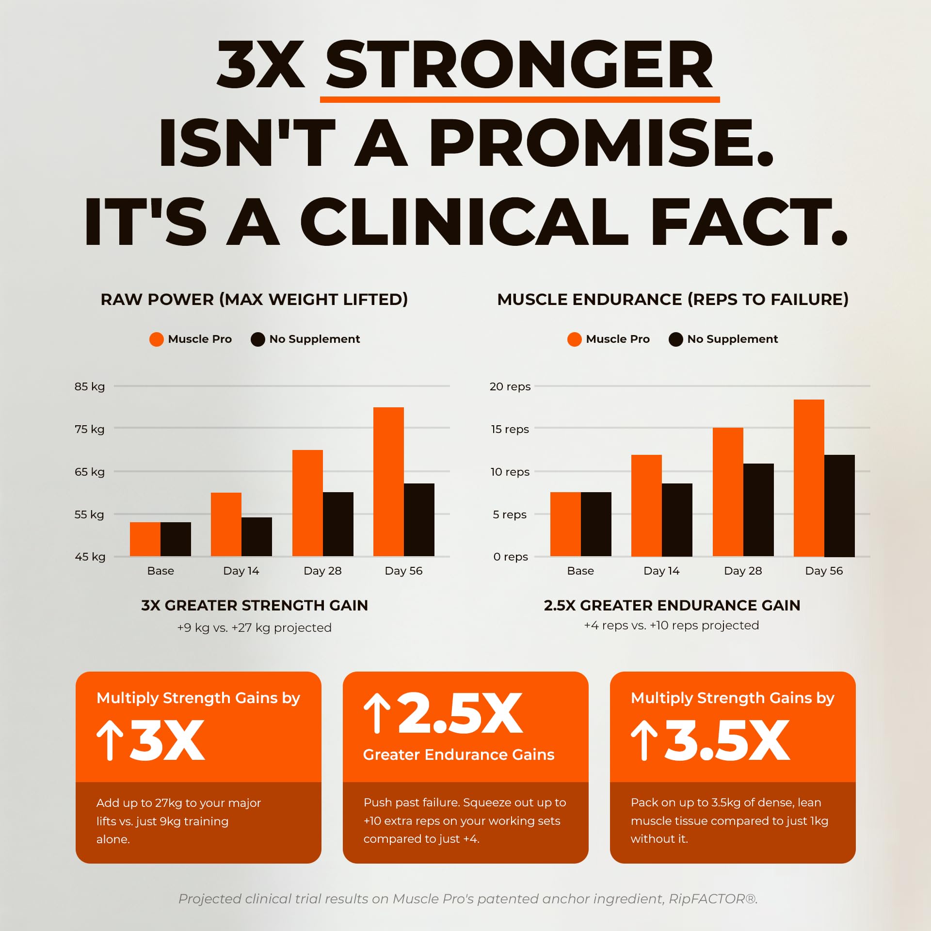 Turkesterone for muscle growth