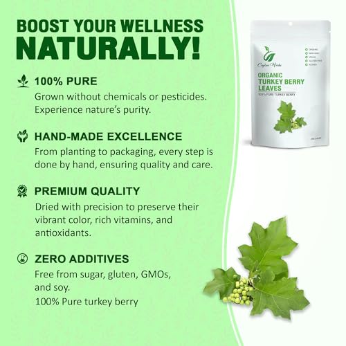 Turkey Berry Leaves for herbal remedies