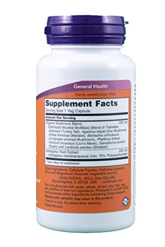 turkey tail and chaga mushroom blend