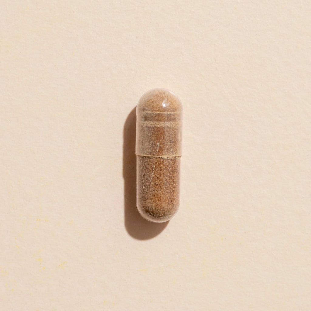 Turkey Tail and Cordyceps benefits