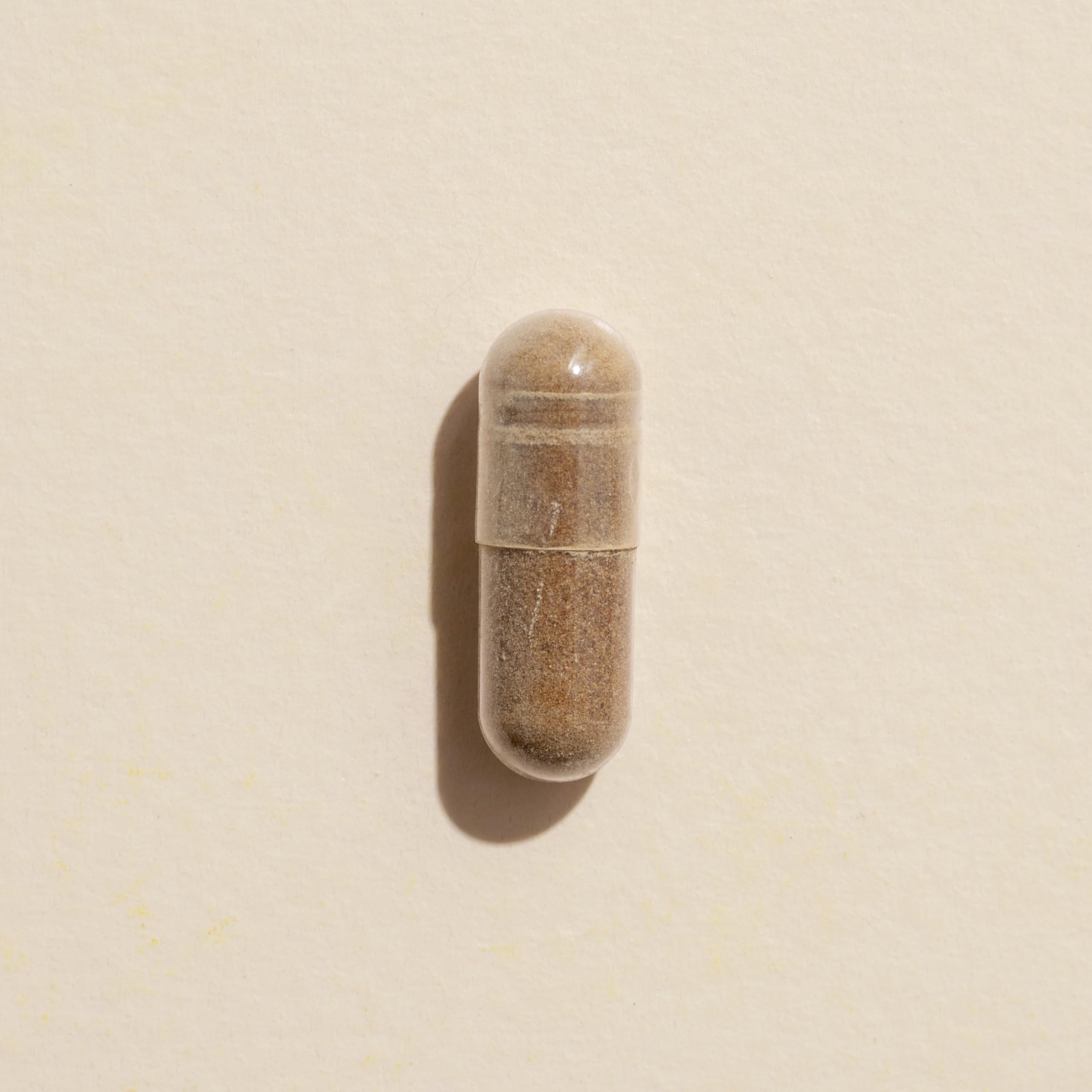 Turkey Tail and Cordyceps benefits
