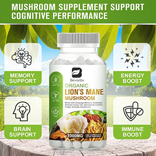 turkey tail and lion's mane benefits