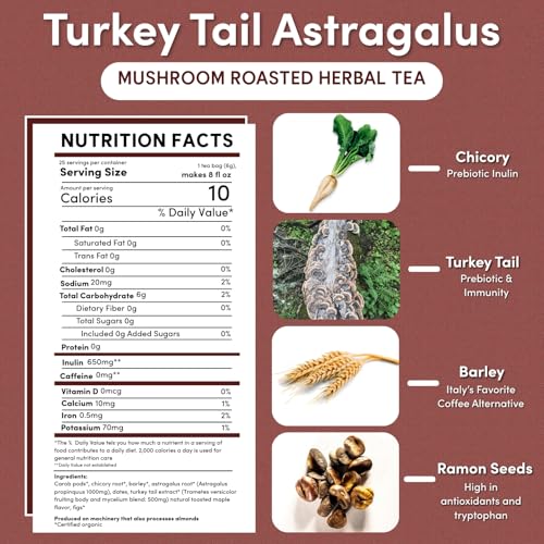 Turkey Tail & Astragalus tea bags
