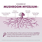 turkey tail capsules for daily vitality