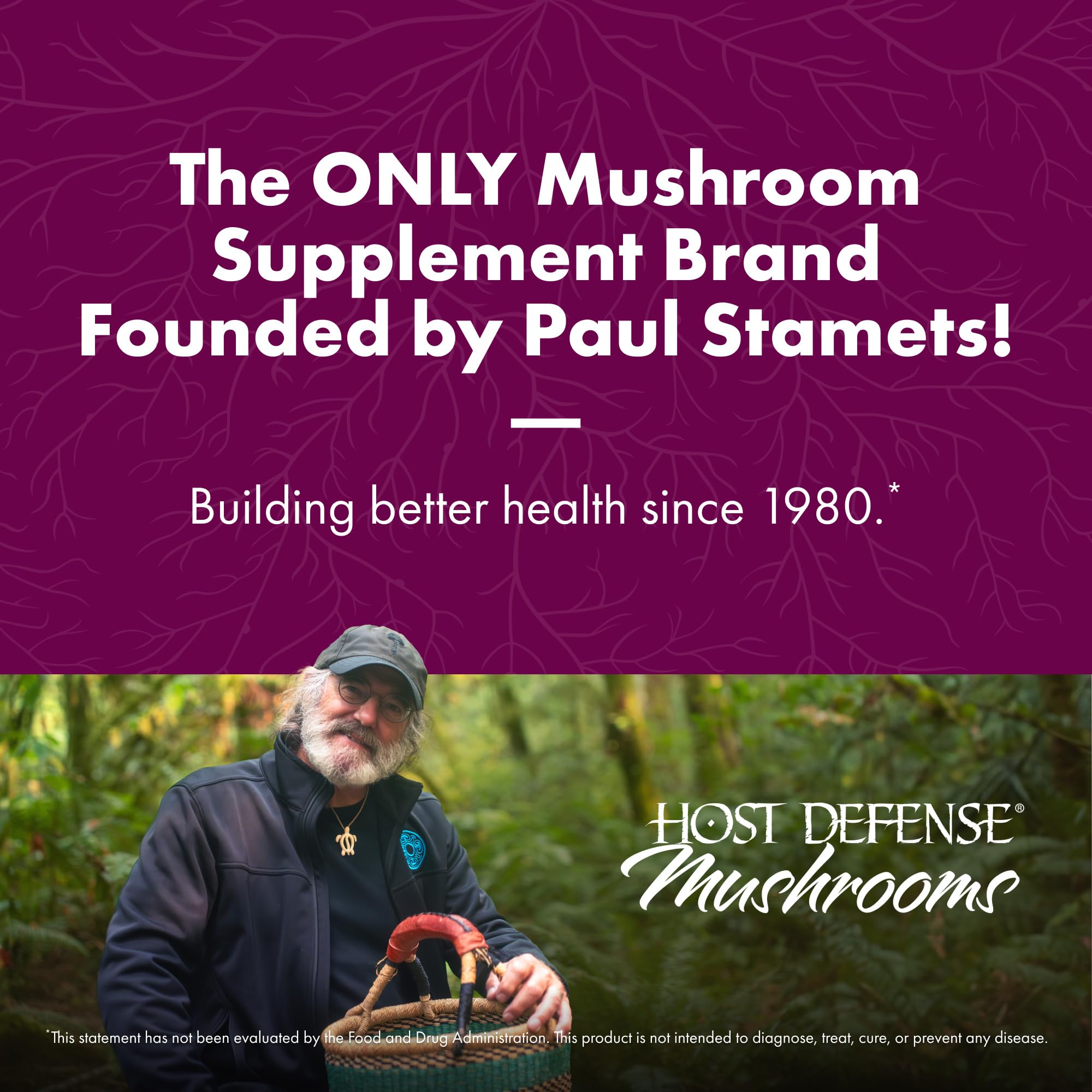 Turkey Tail capsules for daily vitality