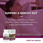 turkey tail capsules for immune support