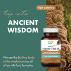 turkey tail capsules for immune support