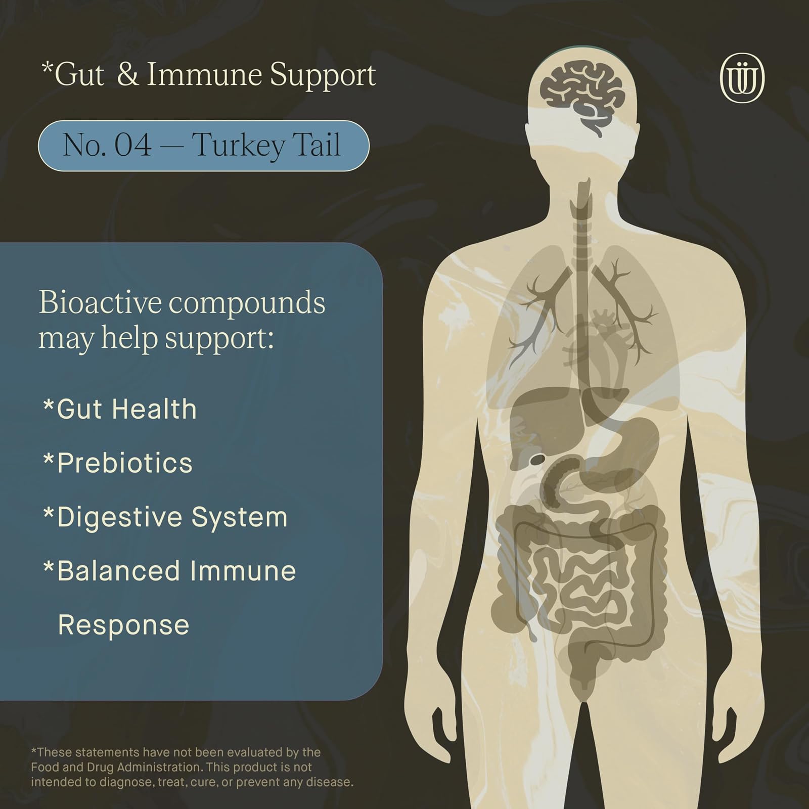 turkey tail extract for digestion