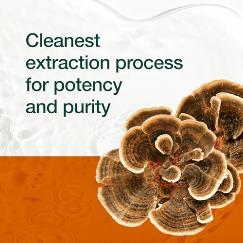 turkey tail extract for energy boost
