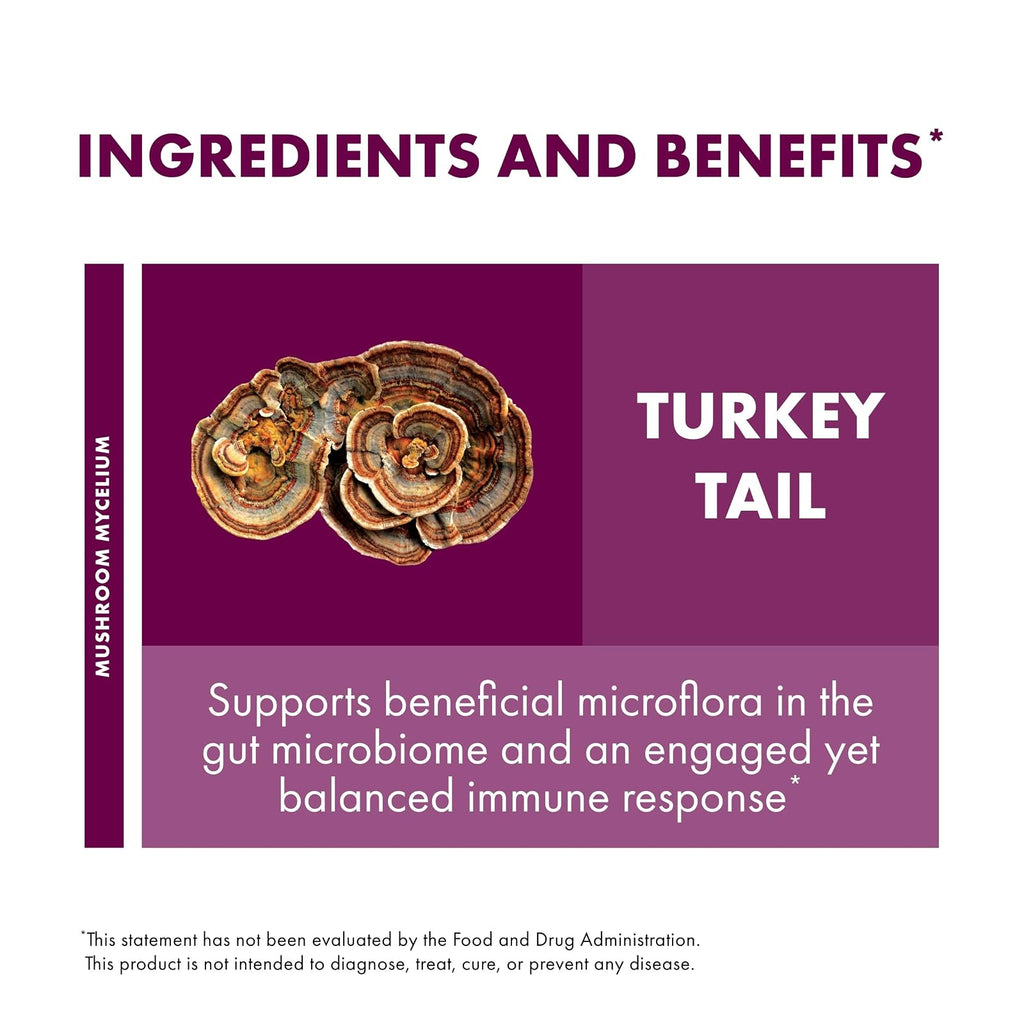 turkey tail extract for immune boost
