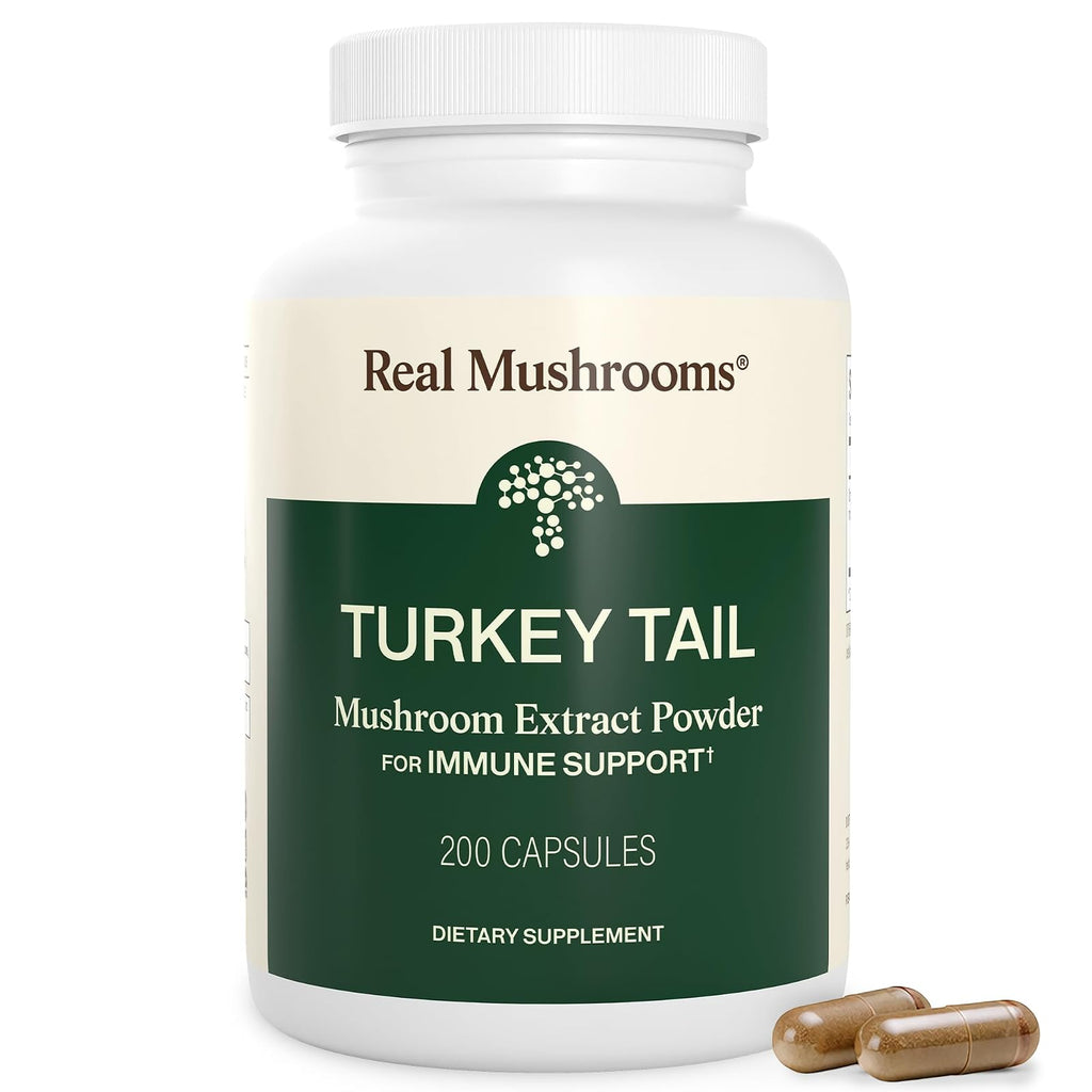 turkey tail extract for immunity