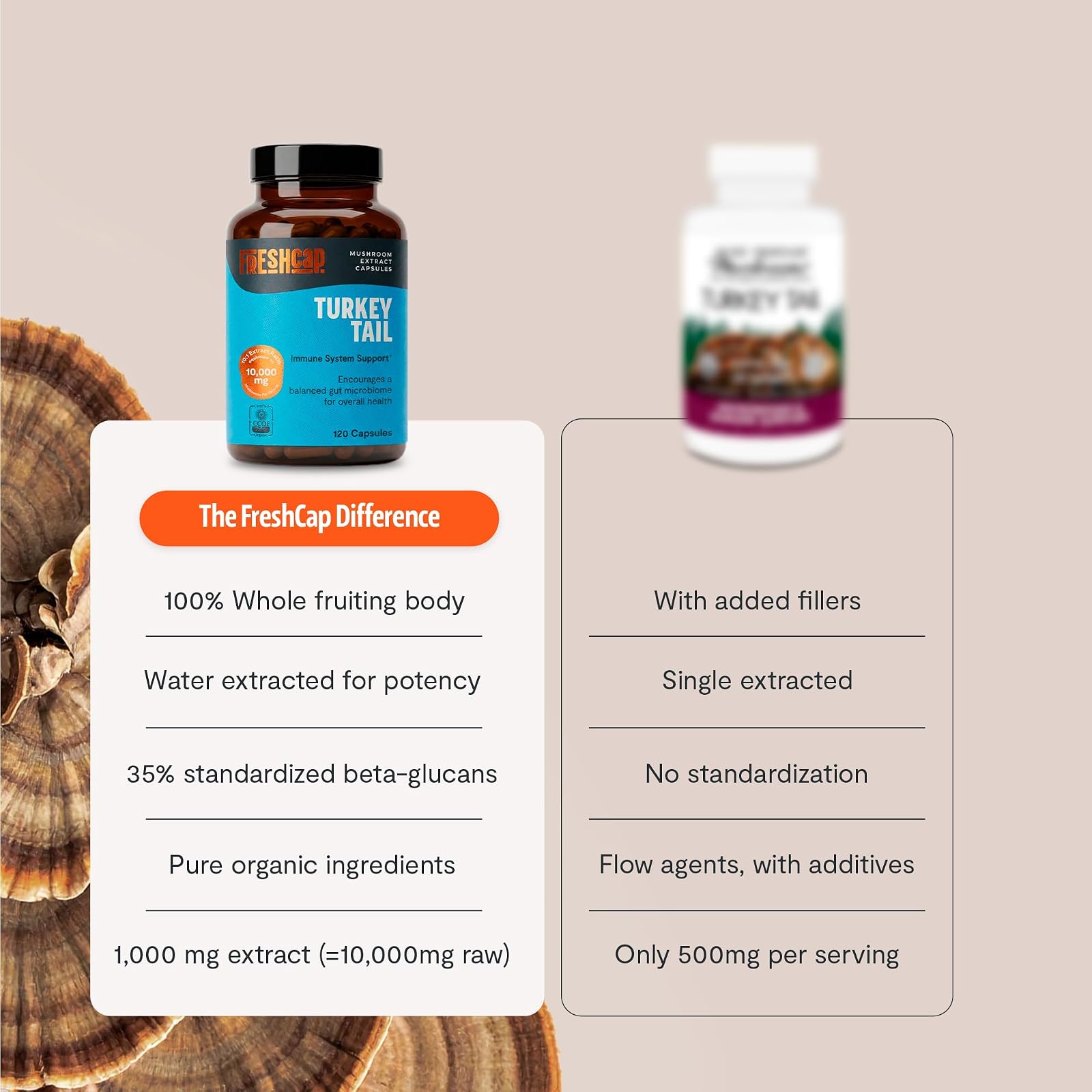 turkey tail extract for vitality