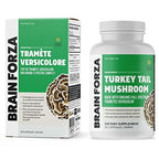 turkey tail for digestive health