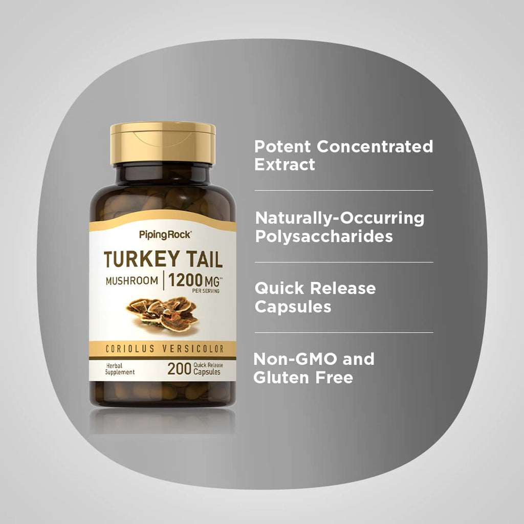 turkey tail for digestive health