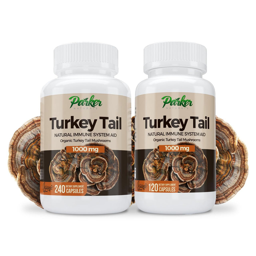 turkey tail for digestive health
