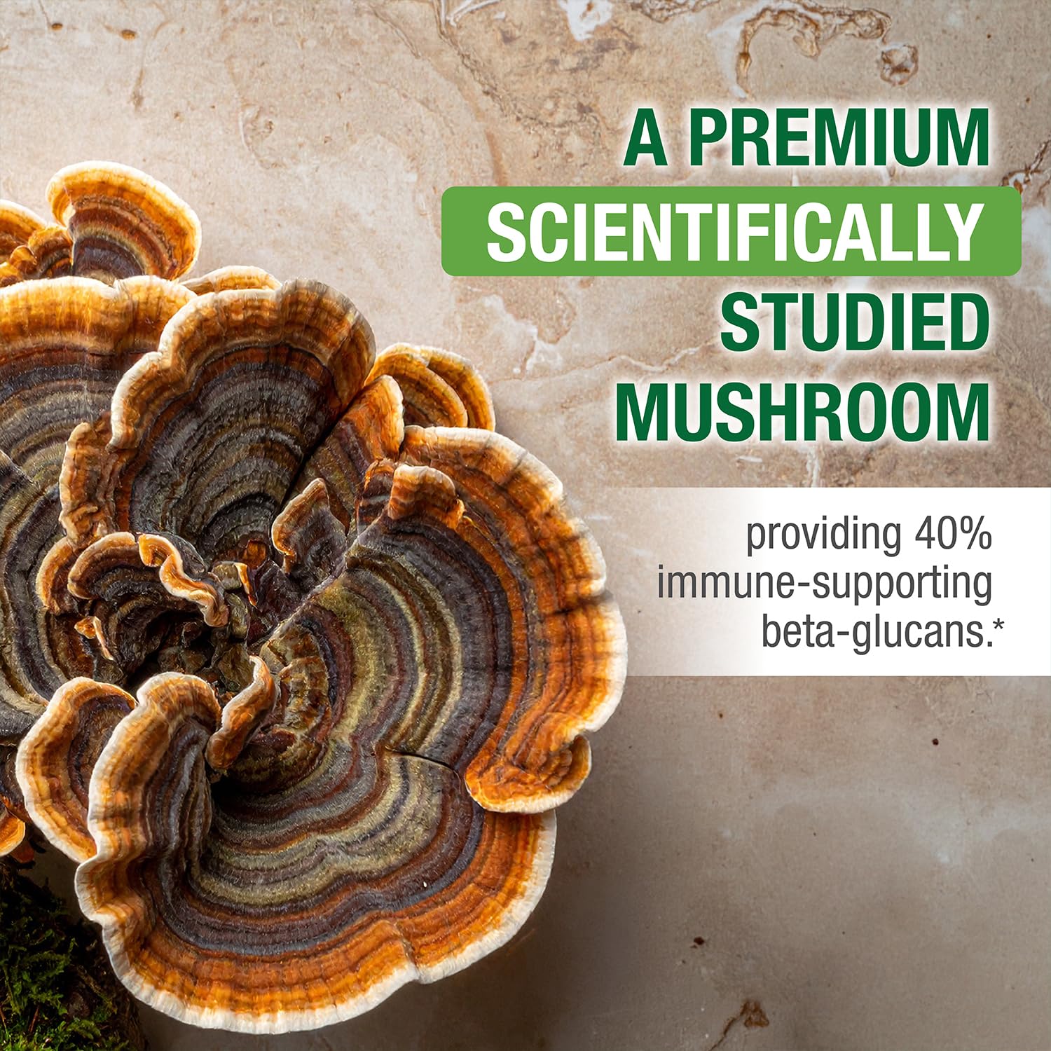 turkey tail for digestive health