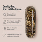 turkey tail for digestive wellness