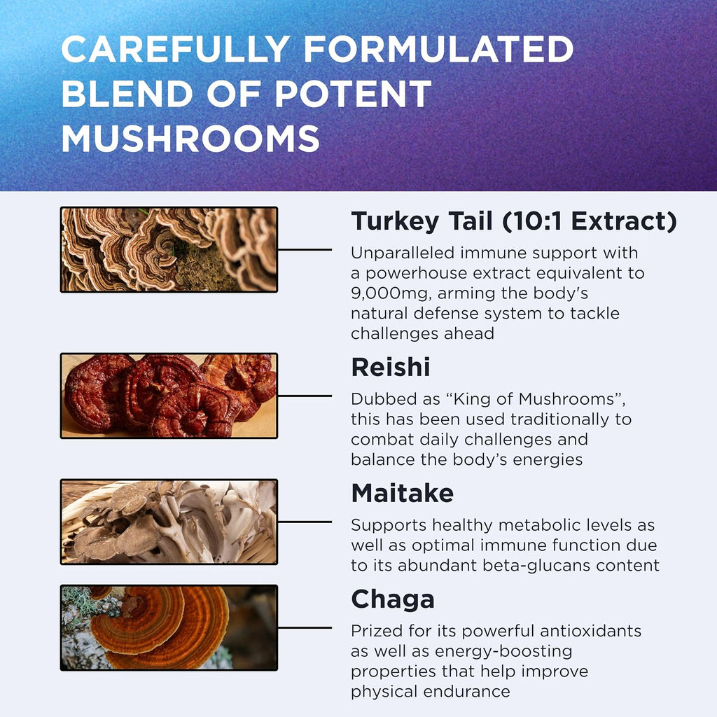 turkey tail for digestive wellness