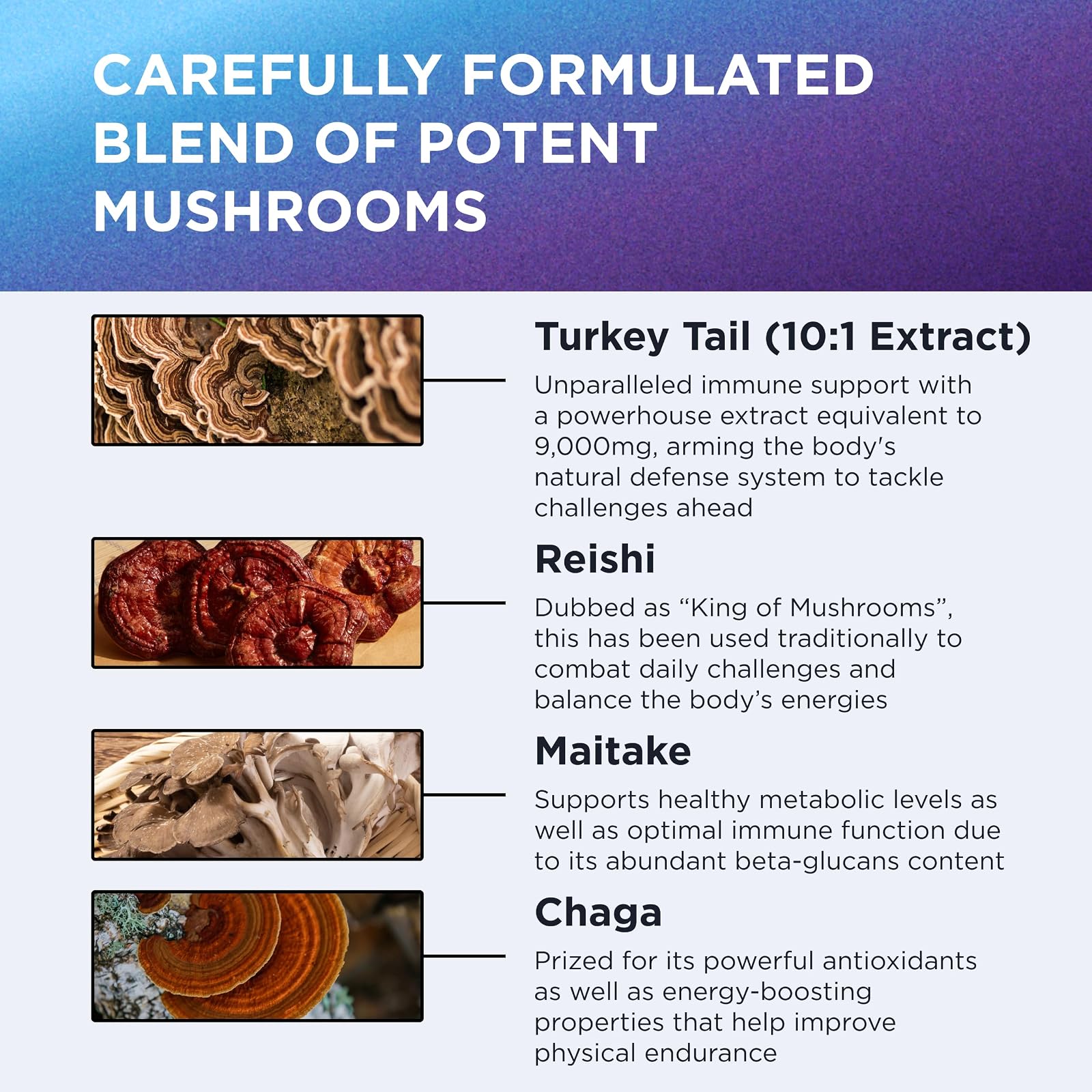 turkey tail for digestive wellness
