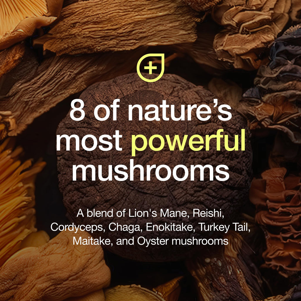 Turkey Tail for gut health support