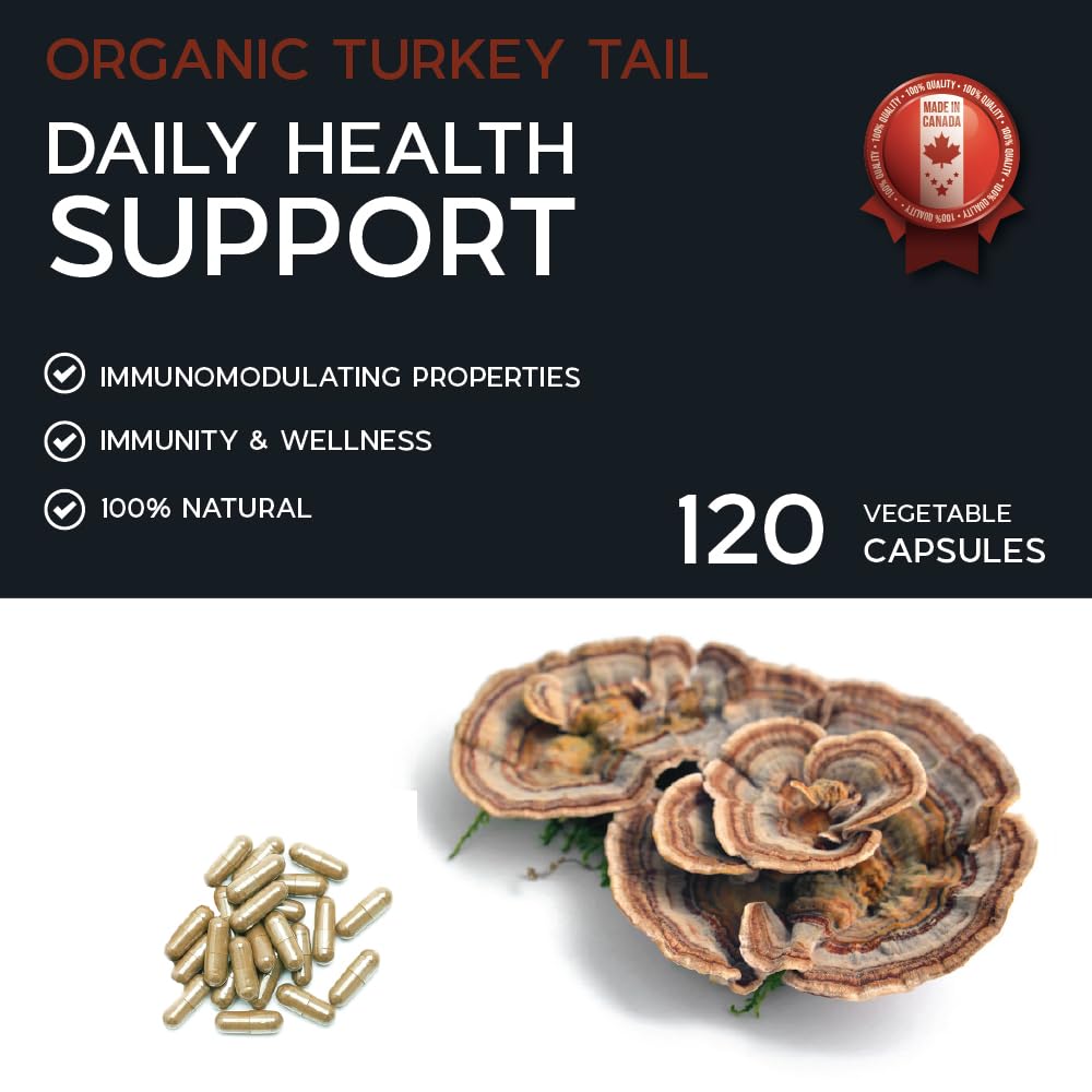 Turkey Tail for gut health