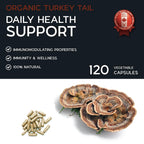 Turkey Tail for gut health