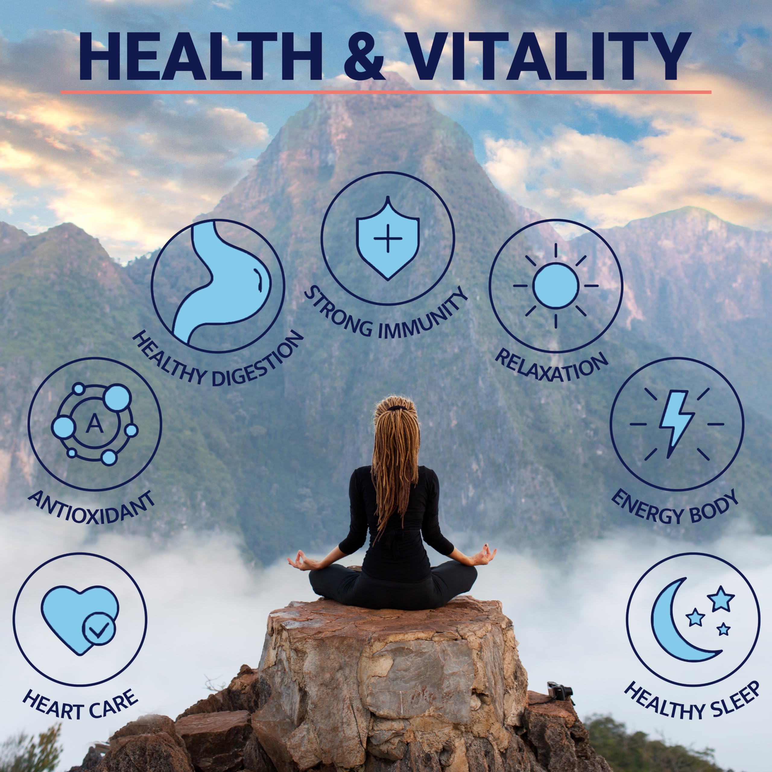 Turkey Tail for immune health