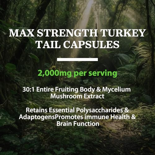 Turkey tail mushroom benefits for health