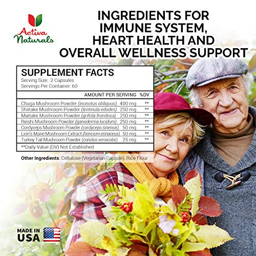 Turkey Tail mushroom benefits for vitality