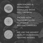 turkey tail mushroom capsules benefits