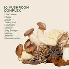turkey tail mushroom capsules for immune support