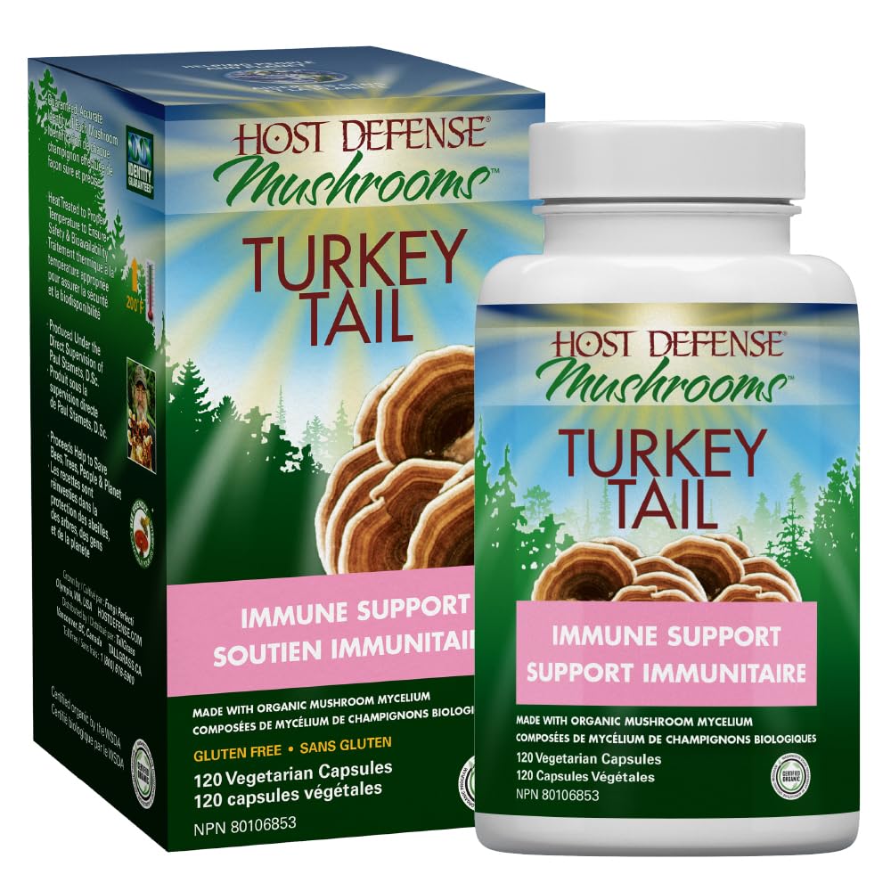 Turkey tail mushroom capsules for immunity