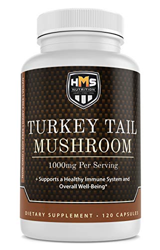 Turkey Tail mushroom capsules for immunity