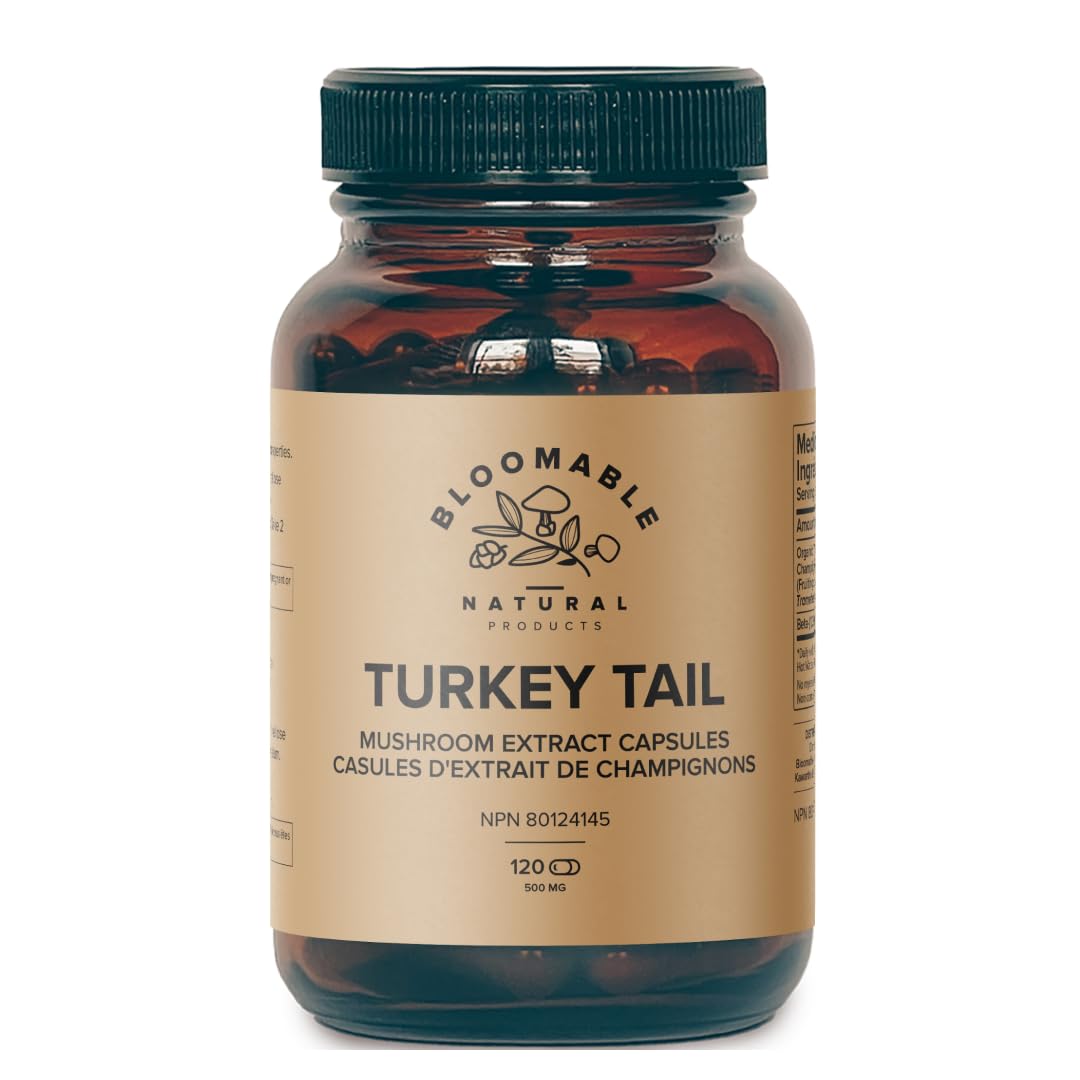 Turkey Tail mushroom capsules for immunity
