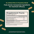 turkey tail mushroom capsules for immunity