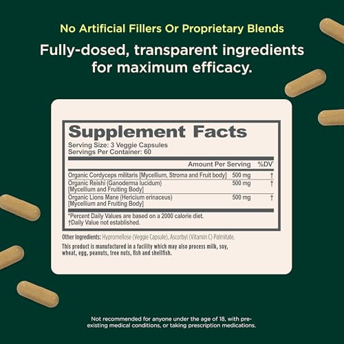 turkey tail mushroom capsules for immunity